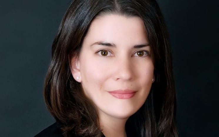 The Fugitive Lawyer The Fugitive Lawyer